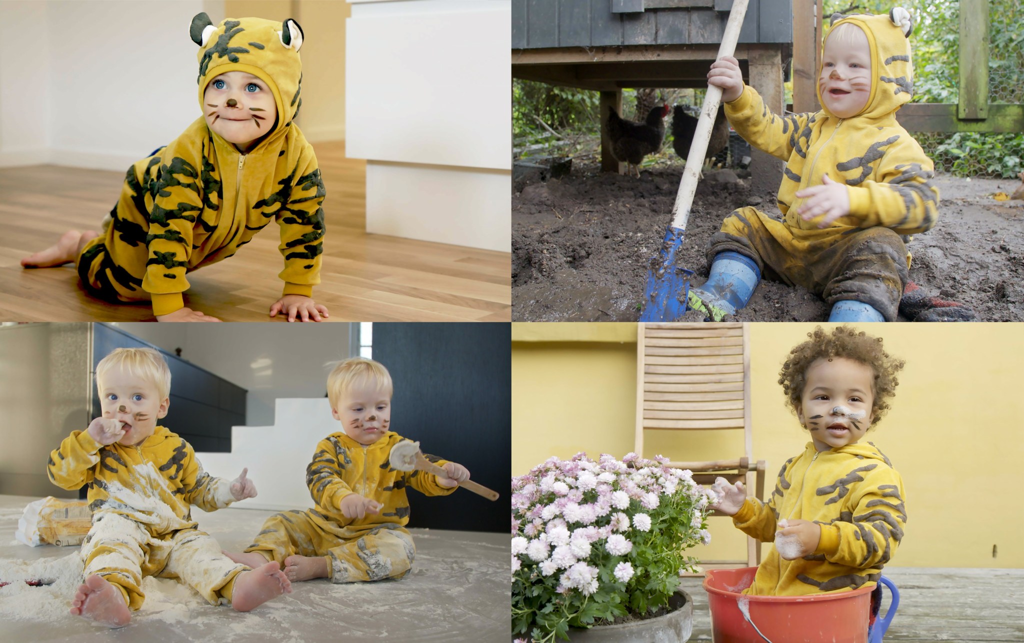 Lille Tiger | Plus Pictures